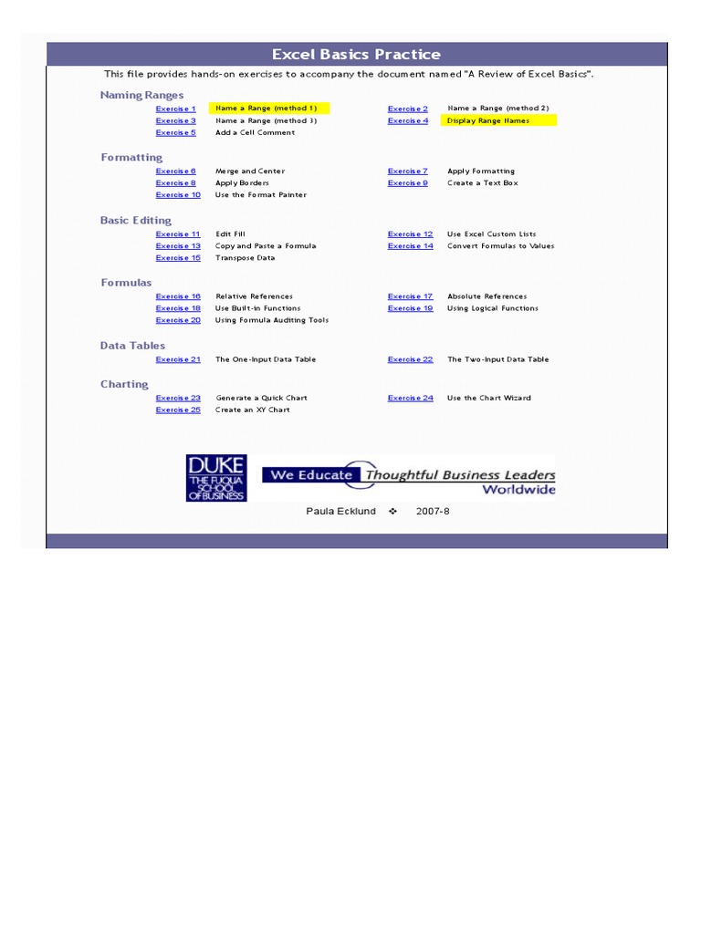 A Review of Excel Basics Exercises | PDF | Microsoft Excel | Software