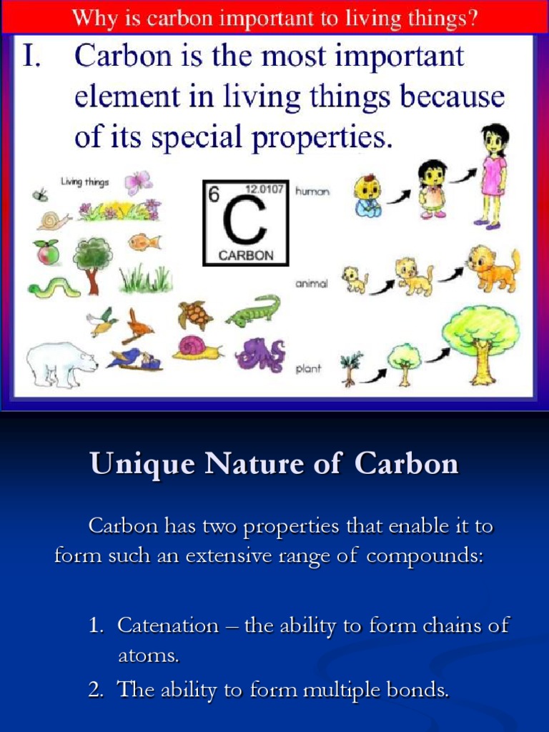 15 Unique Nature of Carbon | PDF | Carbon | Silicon