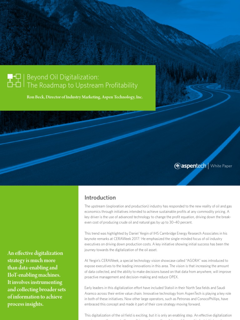 AT-03430-WP-Beyond Digitalization PDF | PDF | Analytics | Reliability ...