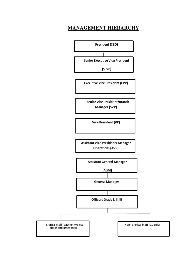 Management Hierarchy | PDF