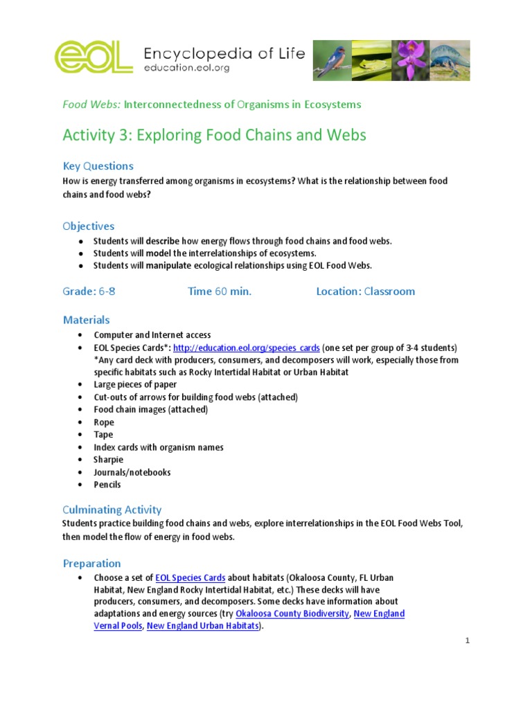 Ecology and Food Web | PDF | Food Web | Ecosystem