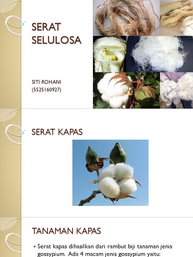 3.2 Serat Selulosa | PDF