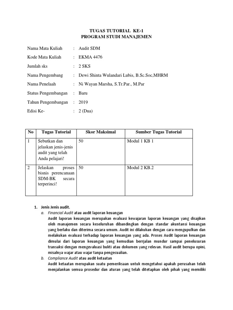 Tugas 1 Audit SDM | PDF
