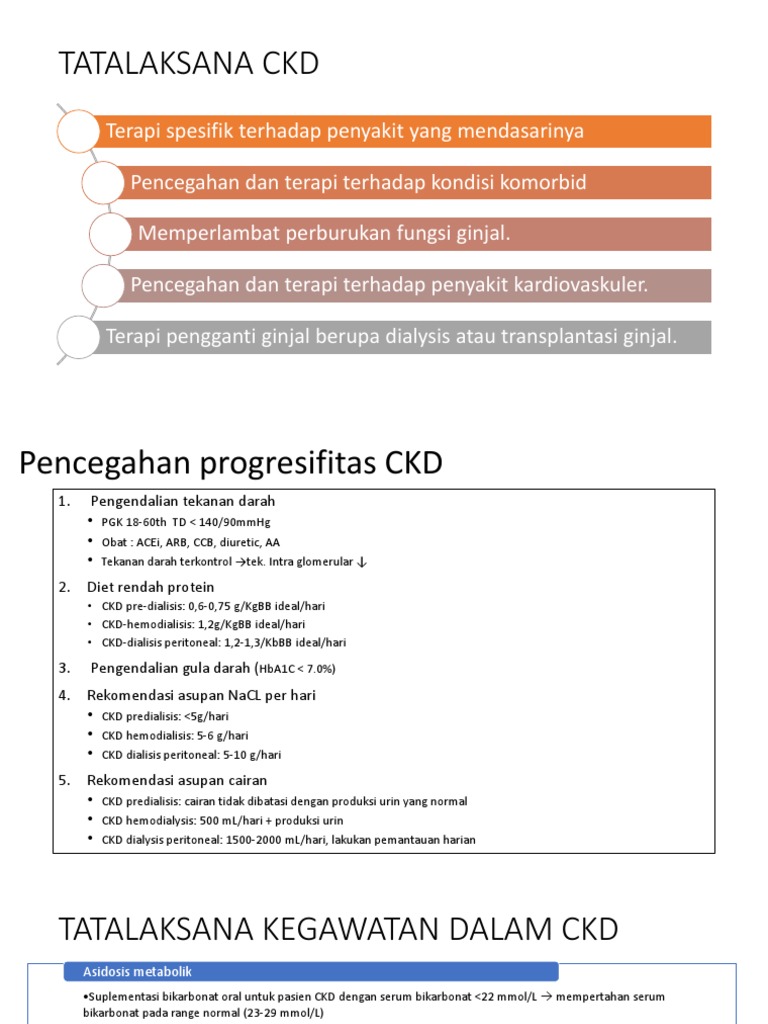 CKD Tatalaksana | PDF