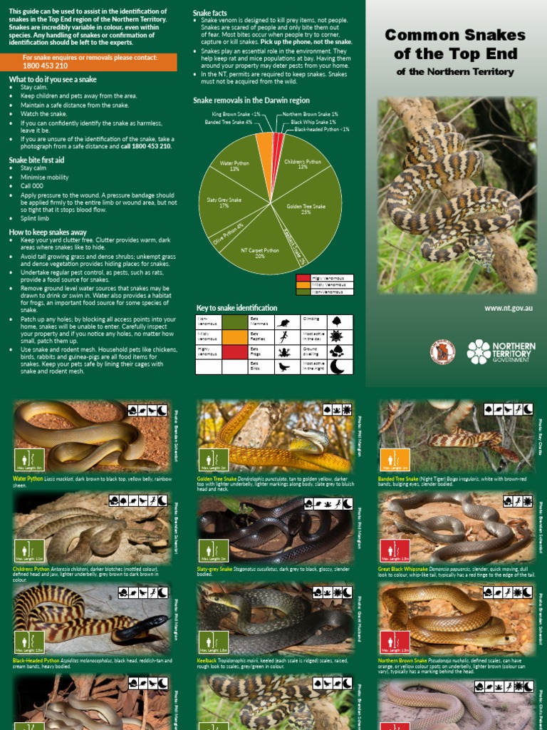 A Guide to Snake Identification and Safety in the Top End Region of the ...