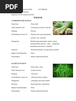 Pengertian Metode DPPH | PDF