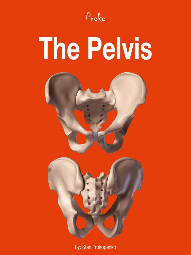 6d The Pelvis Ebook | PDF