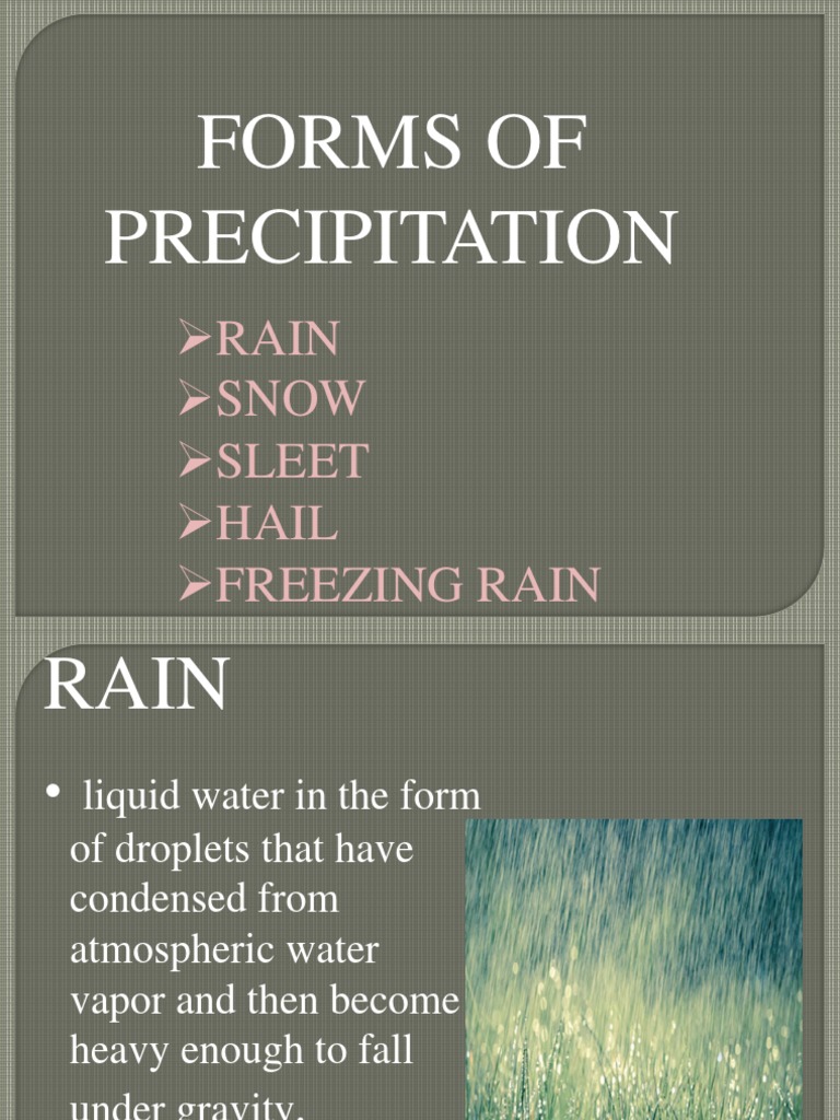 Forms of Precipitation: Rain Snow Sleet Hail Freezing Rain | PDF