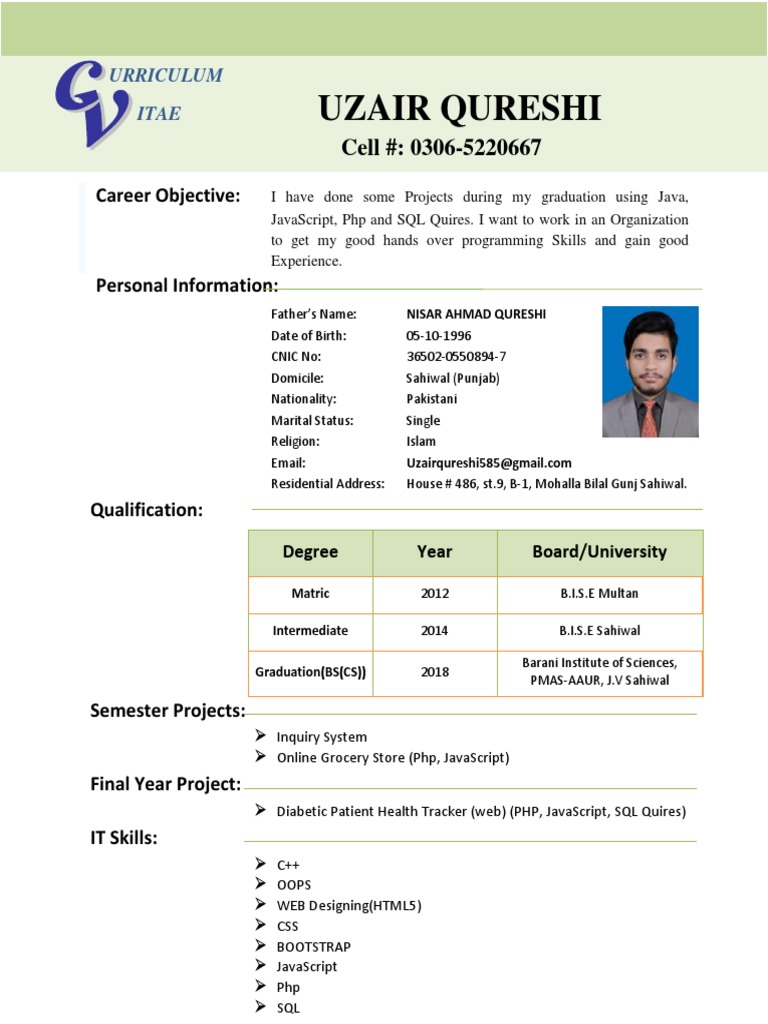 Poor CV Format | PDF