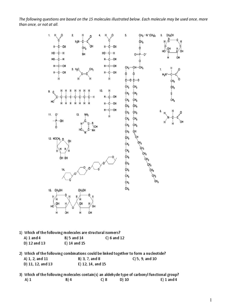 15 Molecules Questions and Answers on Biomolecules | PDF | Biomolecular ...