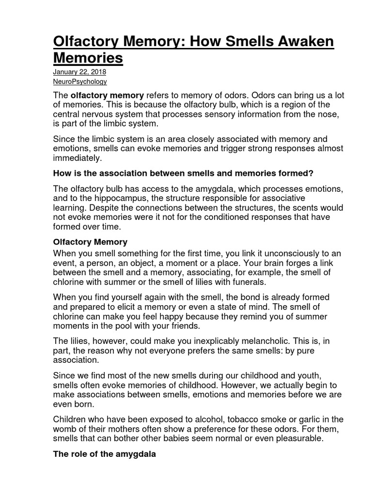 Olfactory Memory: How Smells Awaken Memories | PDF | Odor | Olfaction