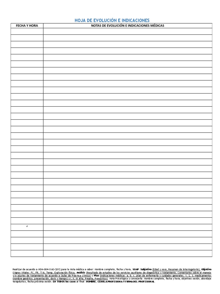 Hoja de Evolución e Indicaciones (Soap) | PDF