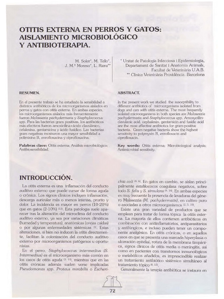 Otitis en Perros y Gatos PDF | PDF | Patologia clinica | Las bacterias