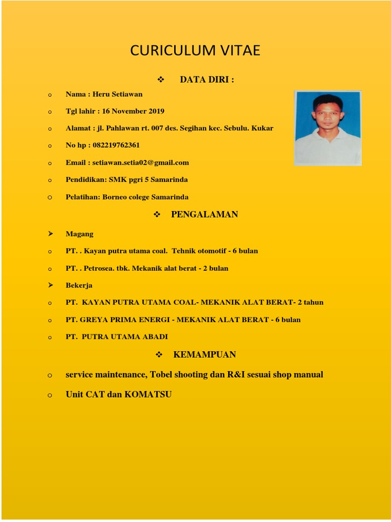 Curiculum Vitae | PDF