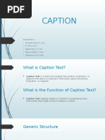 Understanding Caption Text Types | PDF