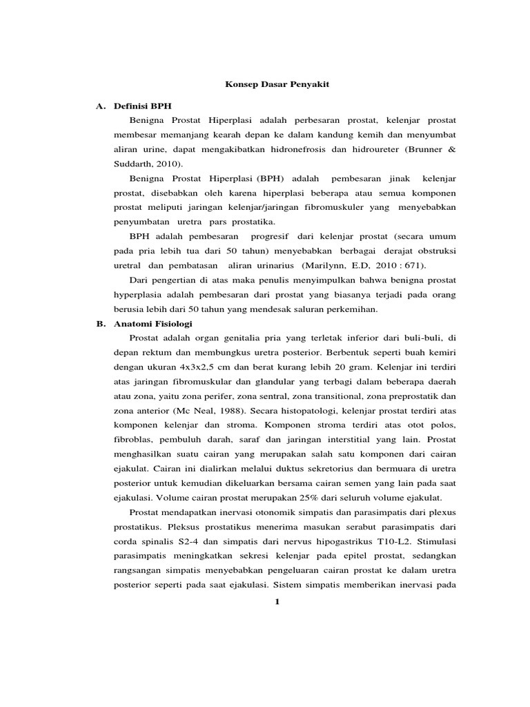 Konsep Dasar Penyakit BPH | PDF