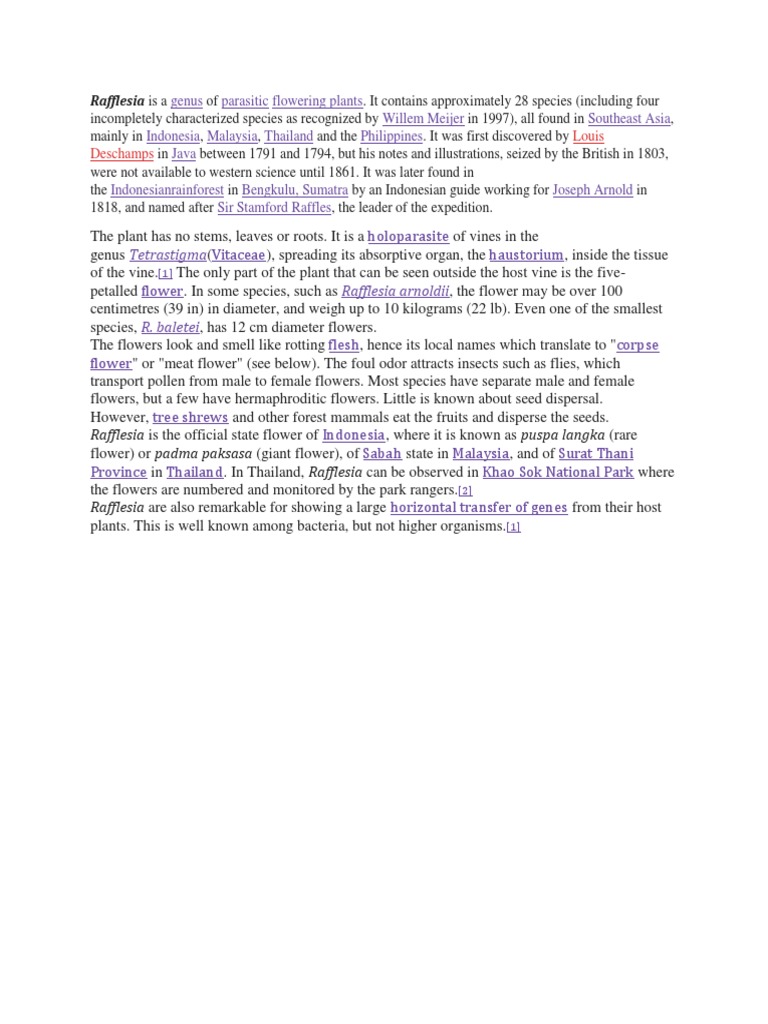 Tetrastigma Rafflesia Arnoldii R. Baletei: Holoparasite Vitaceae ...