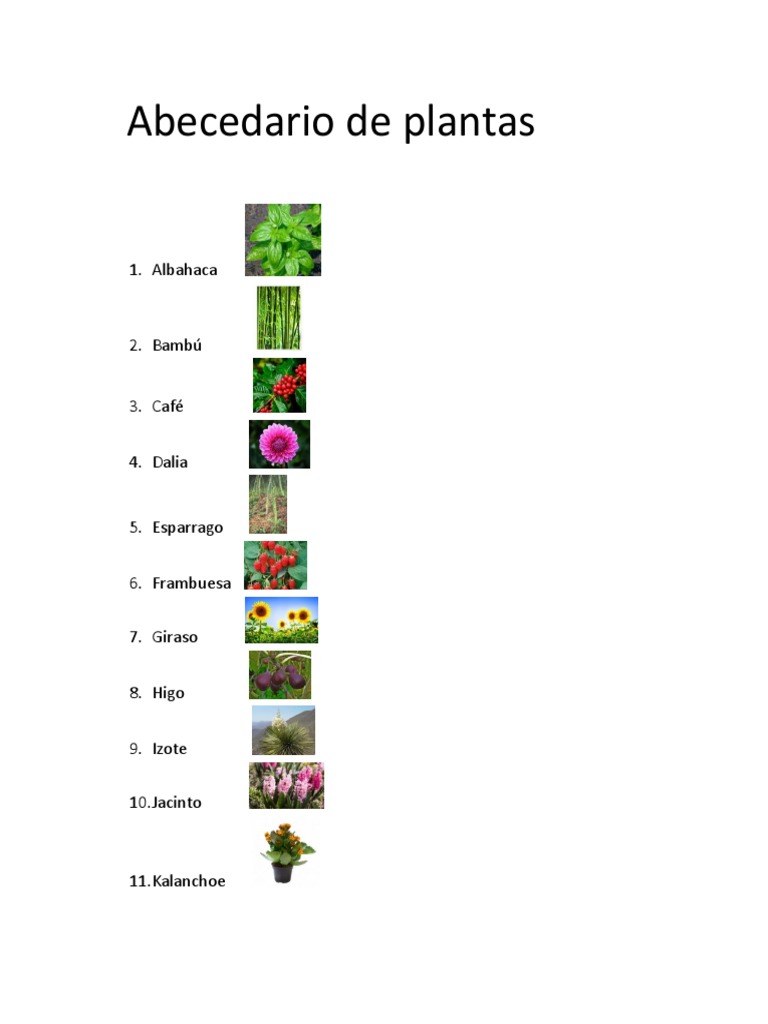 Nombres Científicos De Las Flores Orden Alfabético