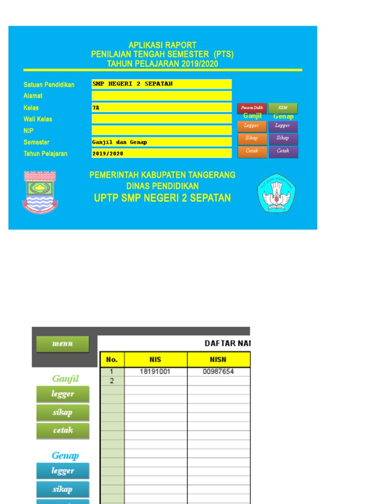Raport PTS SMP | PDF