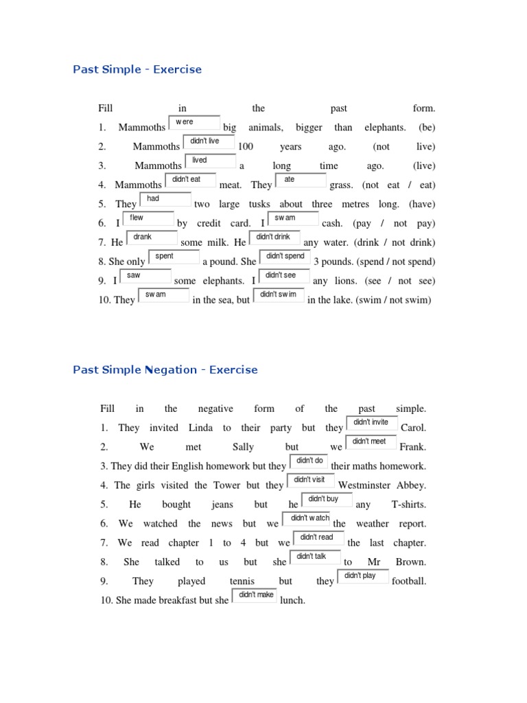 Activity Past Simple Tense | PDF