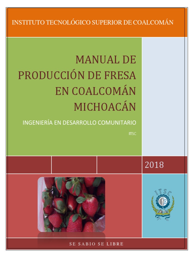 Manual para Cultivo de Fresa en Coalcoman | PDF | Plaga (organismo) | Riego