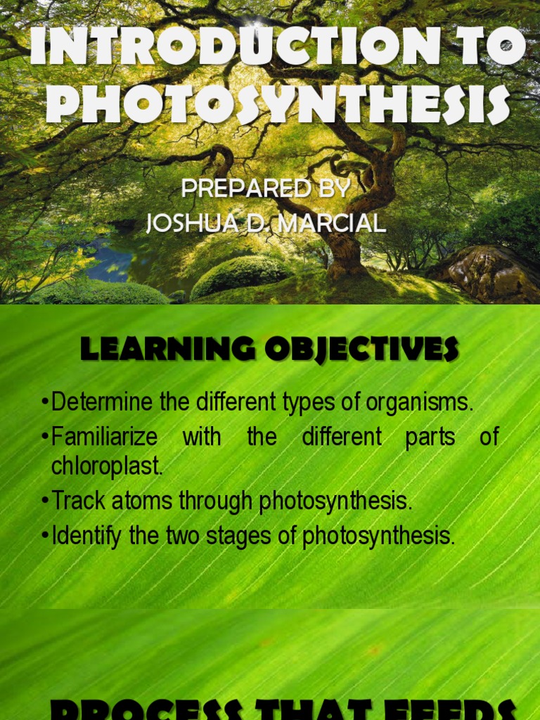 Introduction To Photosynthesis: Prepared by Joshua D. Marcial | PDF