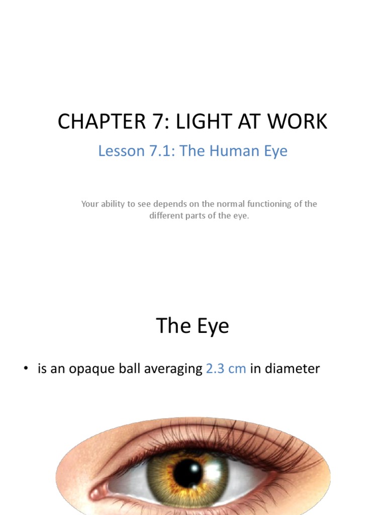 Chapter 7: Light at Work: Lesson 7.1: The Human Eye | PDF | Human Eye | Eye