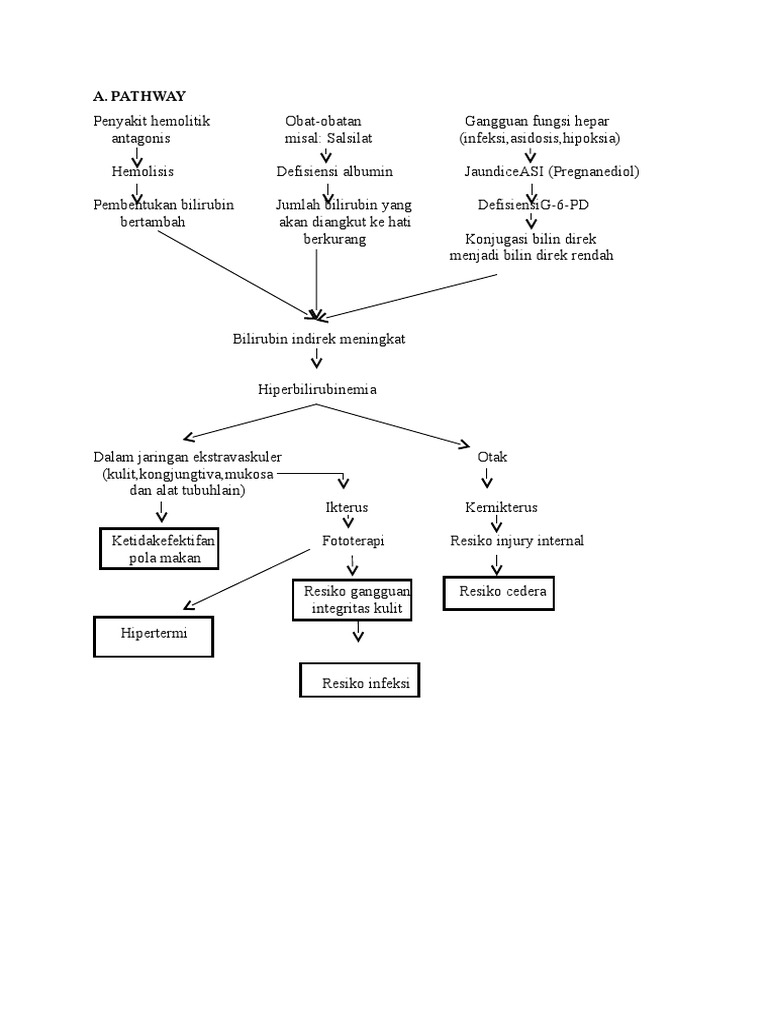 Pathway Hiperbilirubin | PDF
