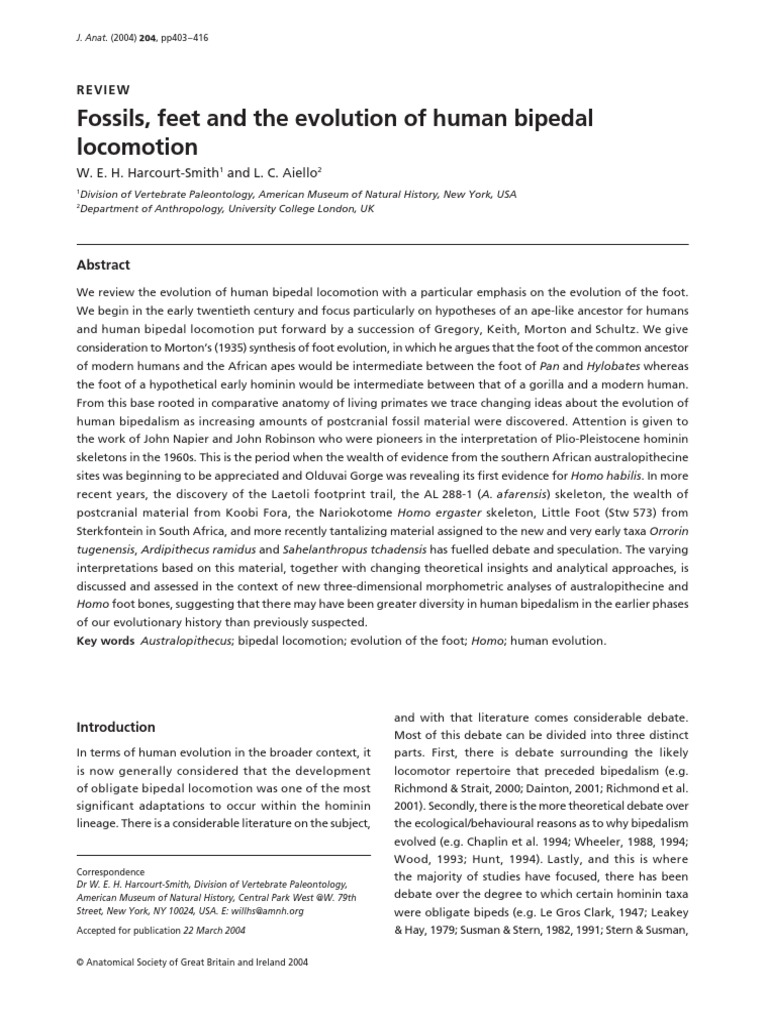 Bipedal Locomotion PDF | PDF | Bipedalism | Homo