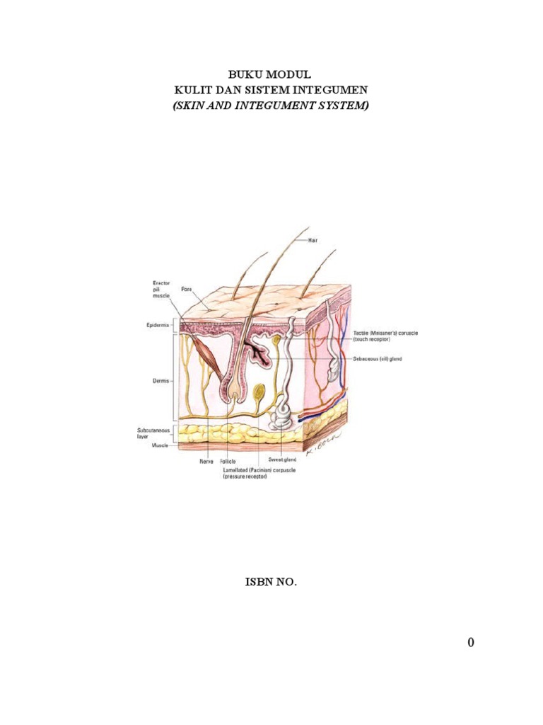 Buku Modul Skin 2019 | PDF
