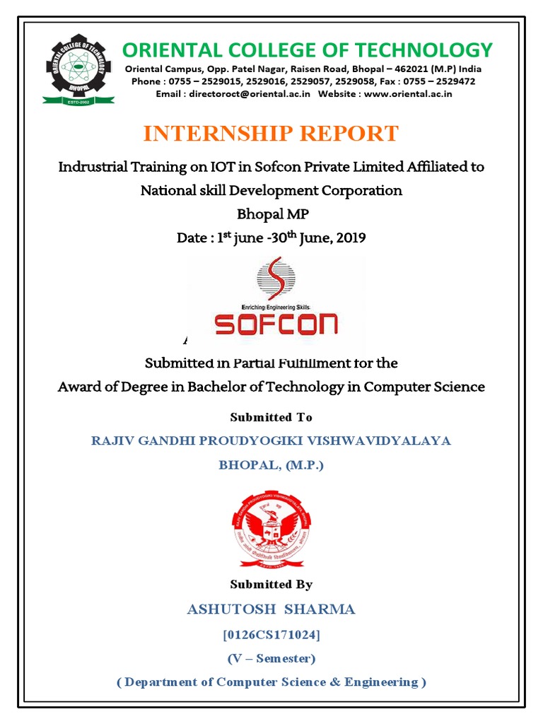 Python Report | PDF | Internet Of Things | Electrical Grid