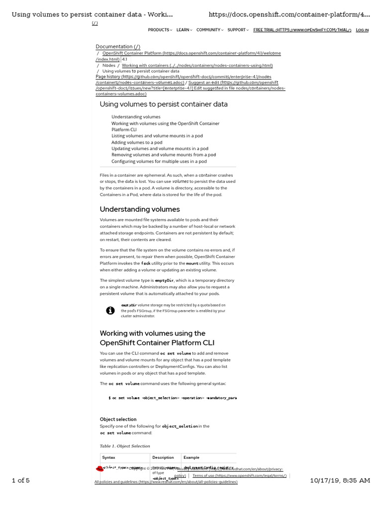 Using Volumes To Persist Container Data Pdf Parameter Computer Programming File System