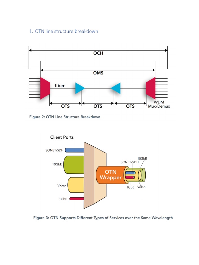 OTN Line Structure Breakdown | PDF