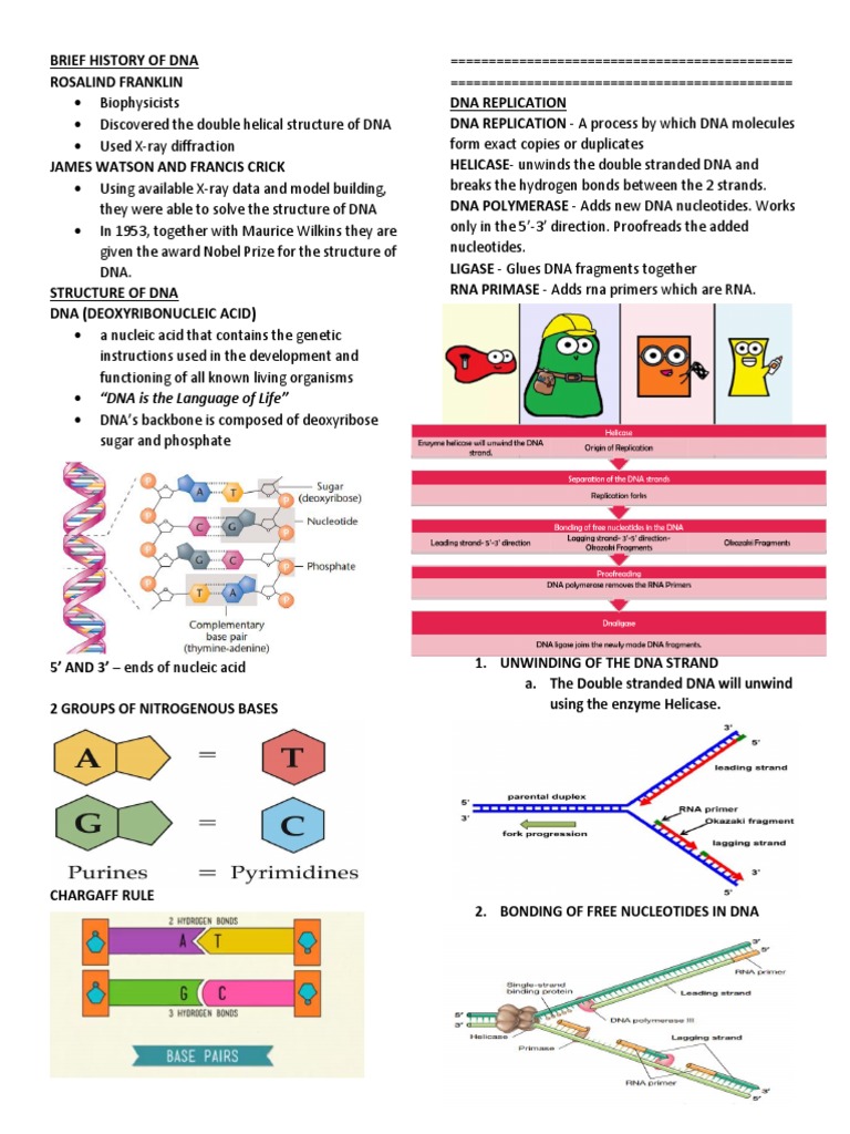 Biotech Reviewer 2nd Qtr. GRADE 8 | PDF | Point Mutation | Dna