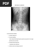 Thorax PA, AP Dan Lateral, RLD Dan LLD | PDF
