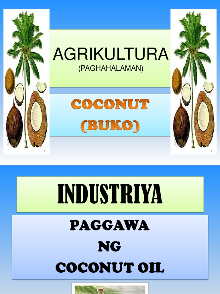 Coconut Oil Production Process Guide | PDF
