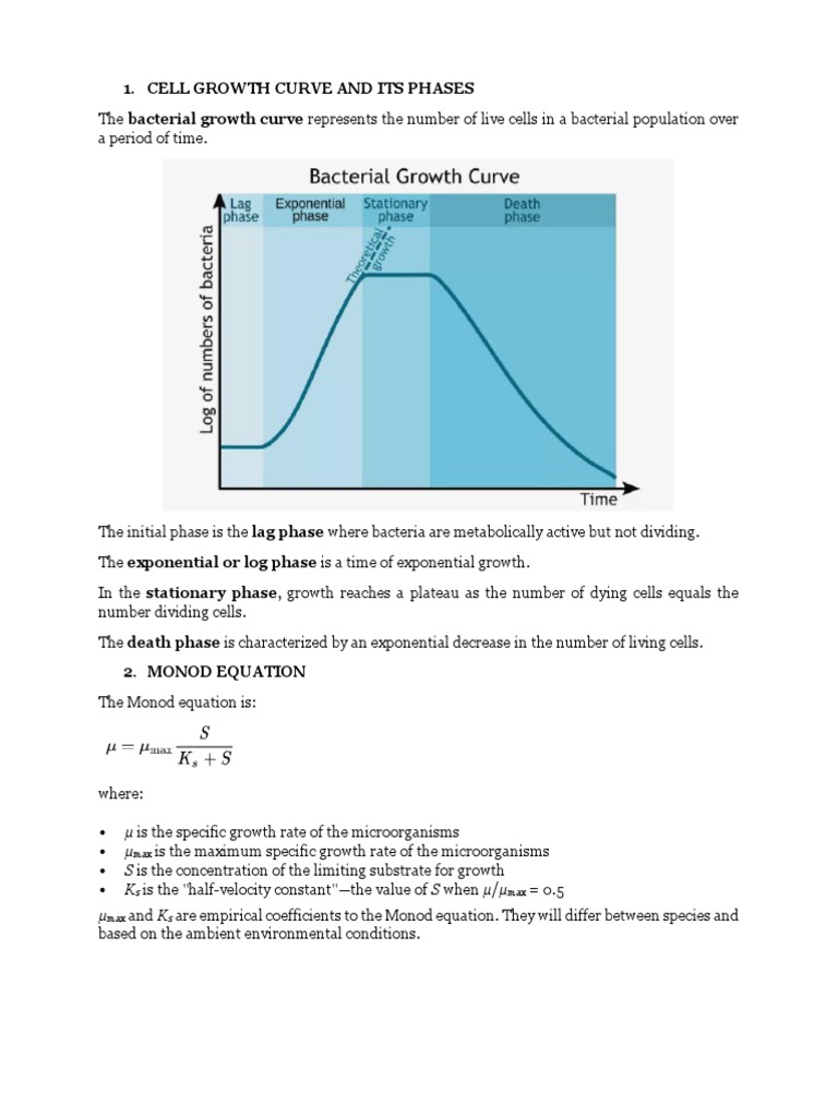 Cell Growth Curve and Its Phases | PDF