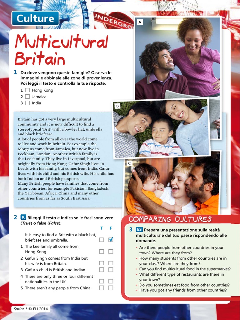 Multicultural Britain PDF | PDF