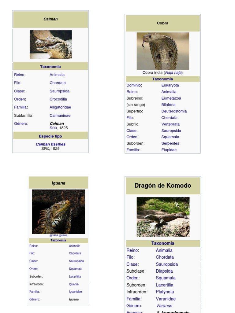 Taxonomía de Reptiles y Anfibios | PDF | Taxa | Organismos