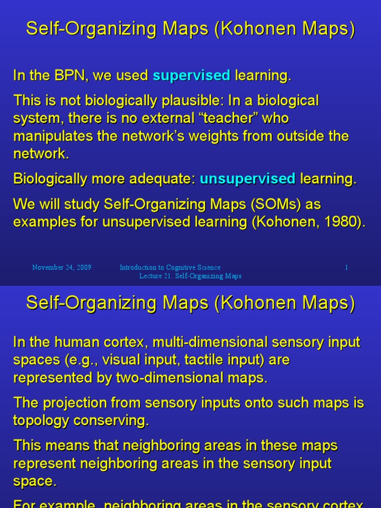Self Organizing Maps | PDF | Cognitive Science | Cybernetics