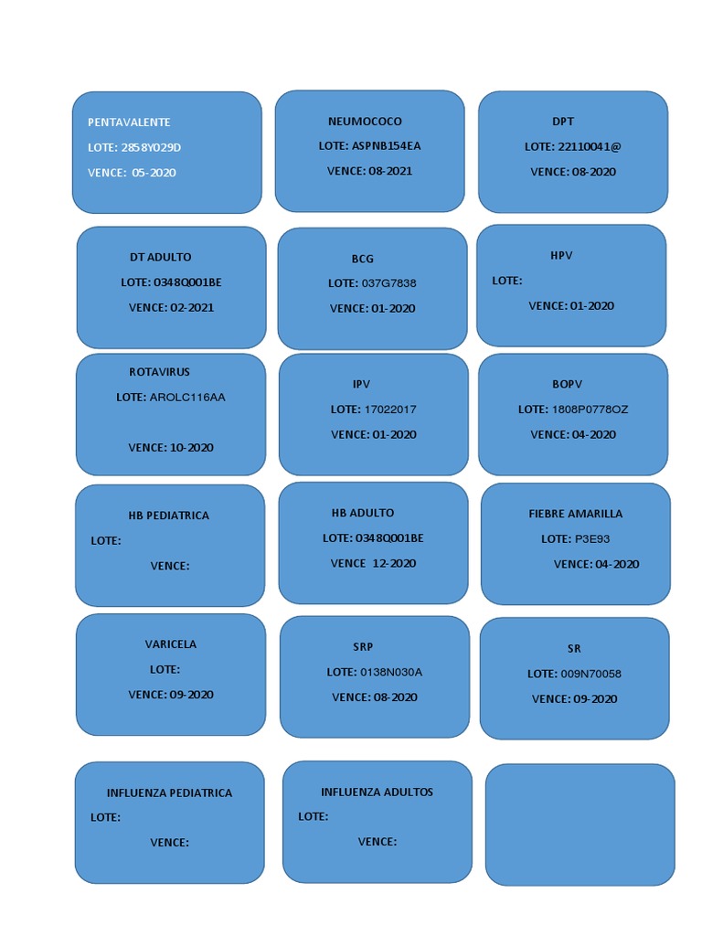 Vaccine Inventory Listing with Lot Numbers and Expiration Dates | PDF