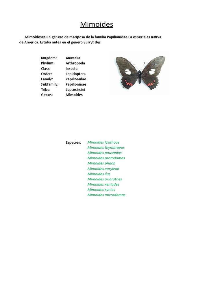 Mimoides | PDF | Lepidópteros | Mariposa