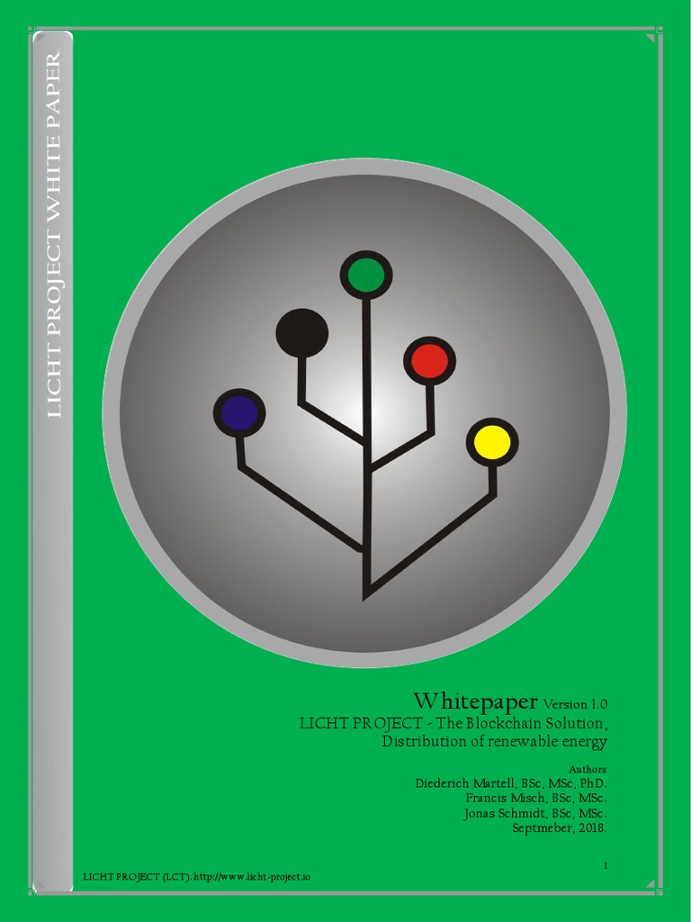 LCT White Paper Version 1.0 | PDF | Photovoltaics | Solar Power