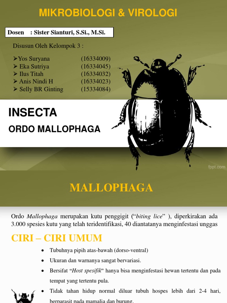 Ciri dan Spesies Kutu Mallophaga | PDF