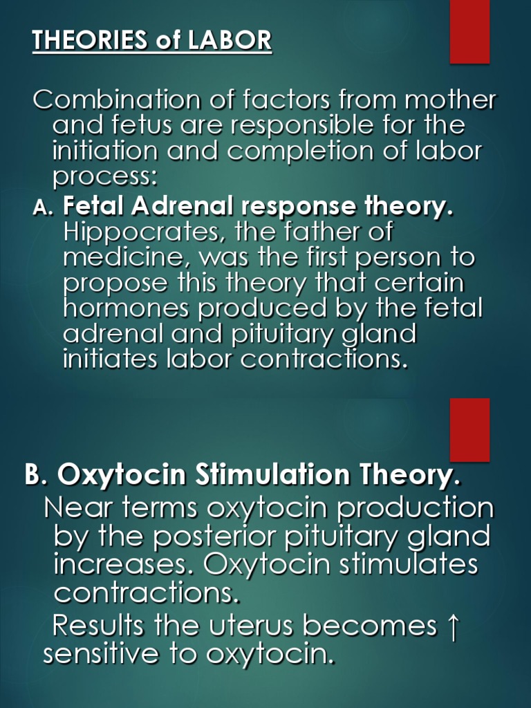 Theories of Labor | PDF | Childbirth | Uterus