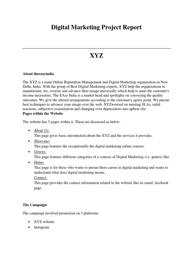 Digital Marketing Report | PDF | Digital Marketing | Websites