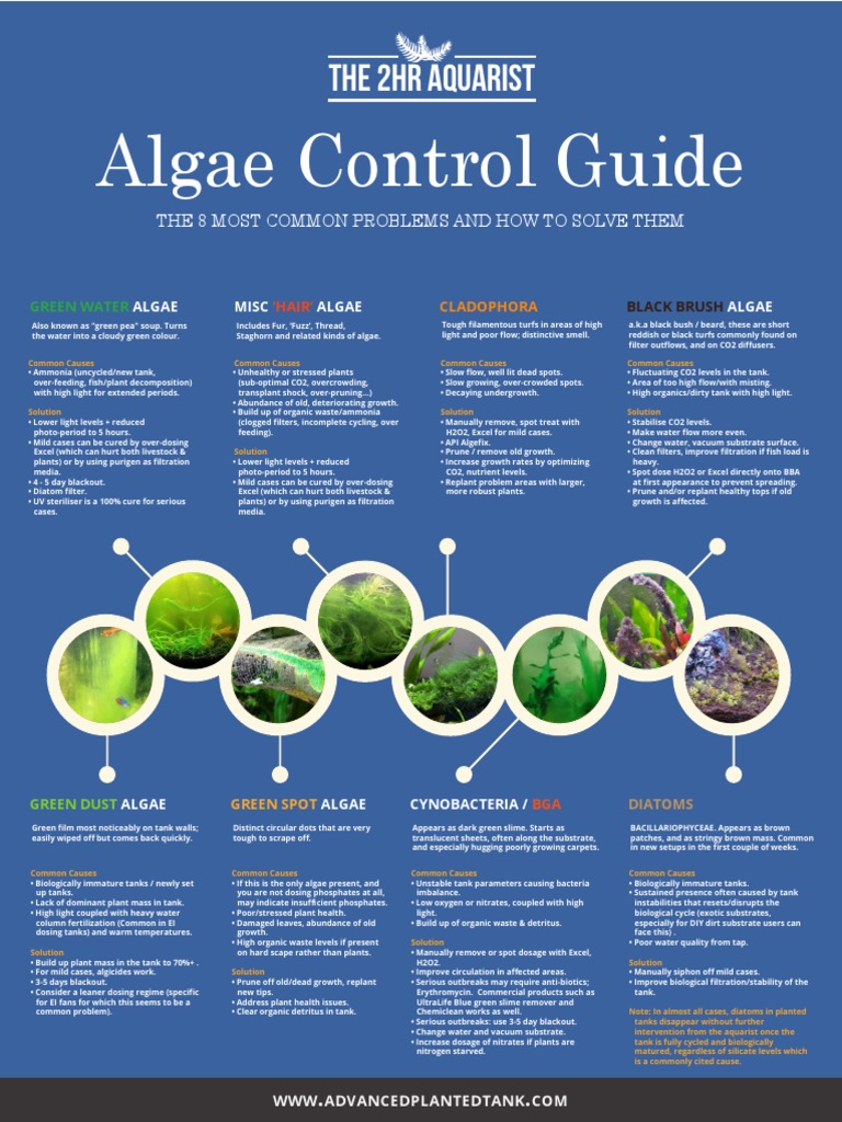 2hraquarist Algae Control Guide | Download Free PDF | Plants | Chemistry