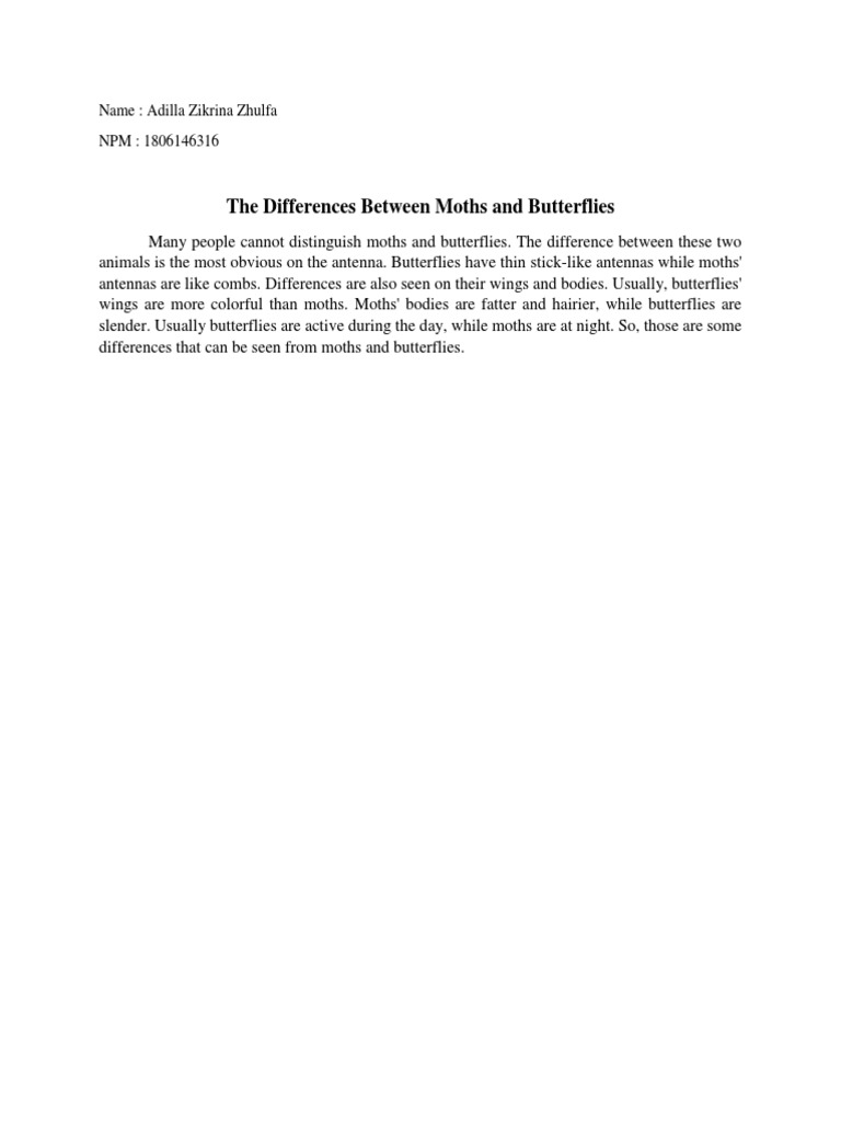 Moths vs. Butterflies: Key Differences | PDF