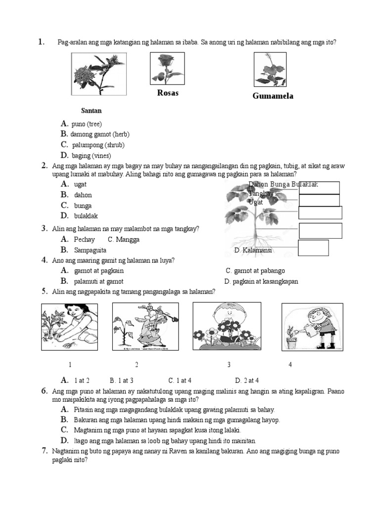 2nd Summative Test in Science | PDF