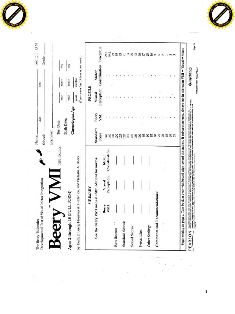 Escala VMI | PDF